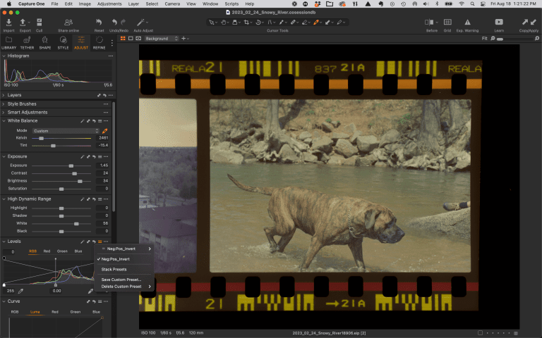Convert Negative Film to Positives for Printing - Capture Integration