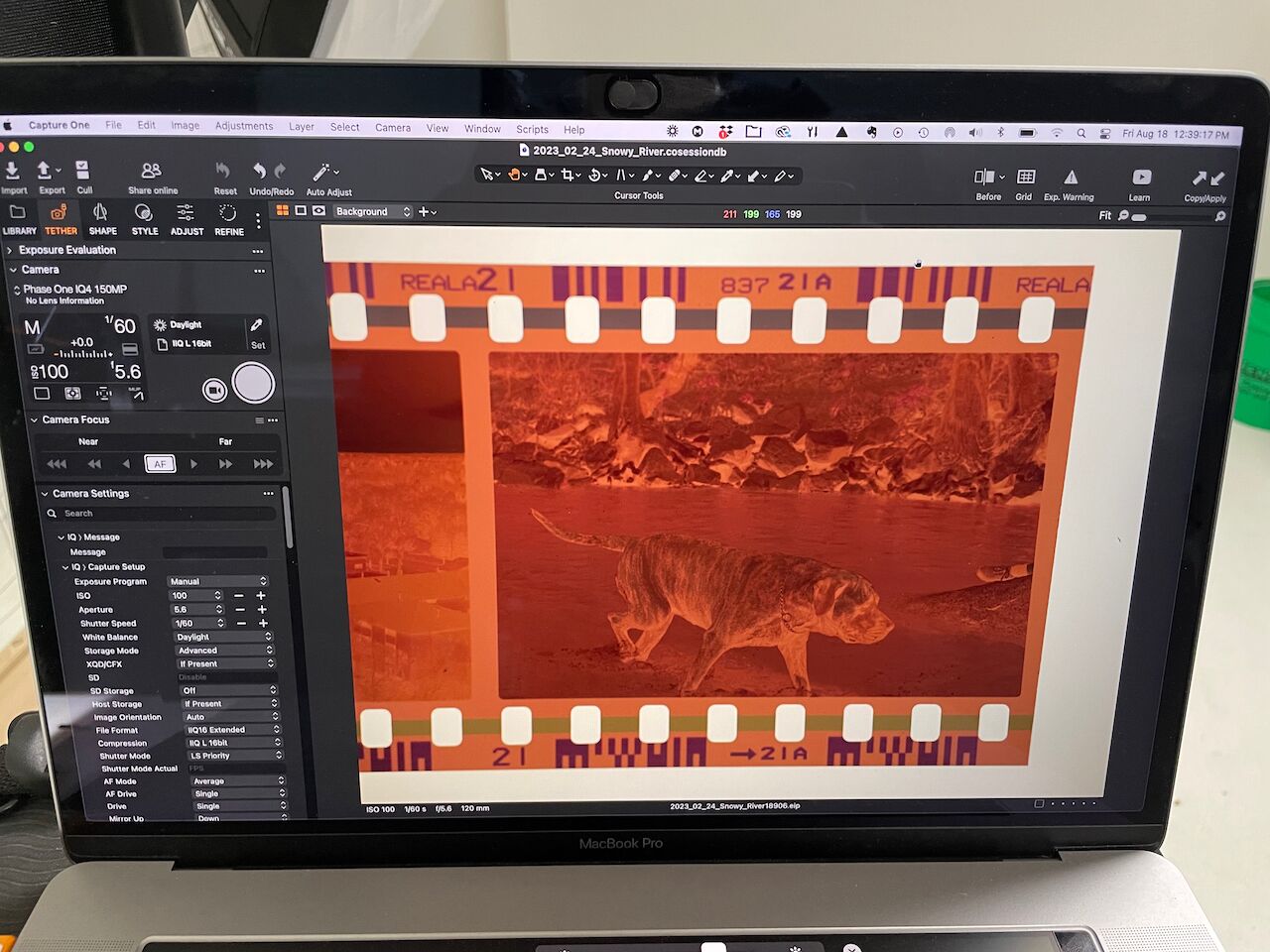 Convert Negative Film to Positives for Printing - Capture Integration
