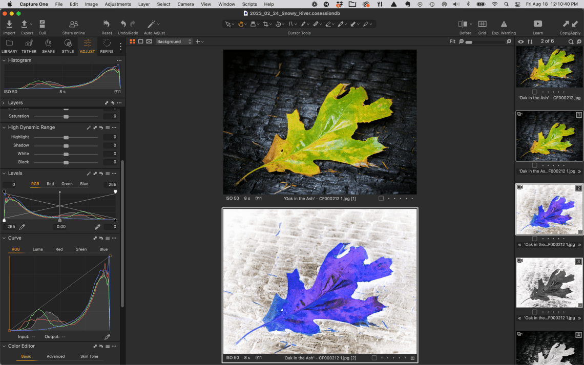 Convert Negative Film to Positives for Printing - Capture Integration